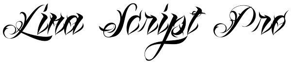 Font Spy | Lina Script Pro Font