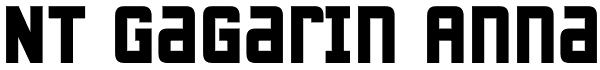 NT Gagarin Font | Font Spy