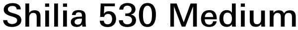 Shilia Font | Font Spy