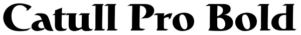 Catull Pro Font | Font Spy