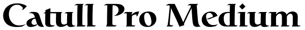 Catull Pro Font | Font Spy