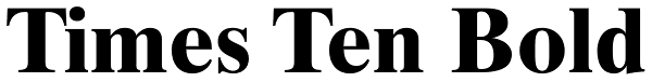 Times Ten Font | Font Spy
