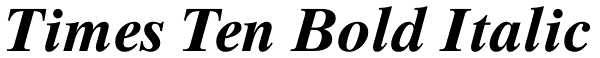 Times Ten Font