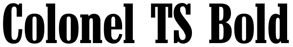 Font Spy | TS Colonel Font