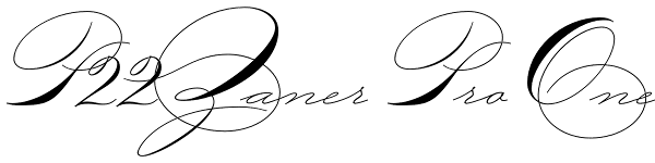 P22 Zaner Pro Font | Font Spy