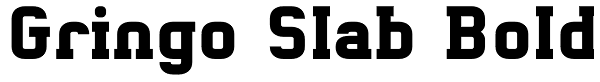 Gringo Slab Font | Font Spy