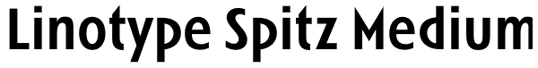 Linotype Spitz Font