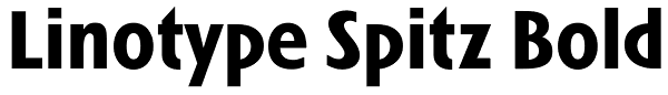 Linotype Spitz Font | Font Spy