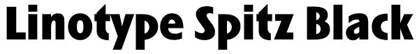 Linotype Spitz Font | Font Spy