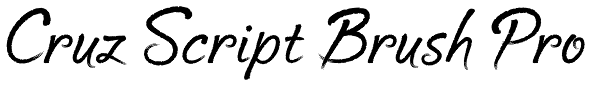Cruz Script Brush Pro Font | Font Spy